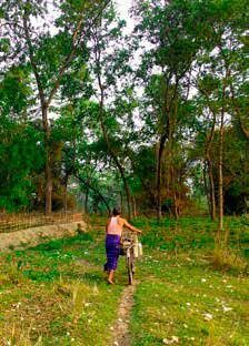 The Man Who Grew His Own Forest | theTrumpet.com