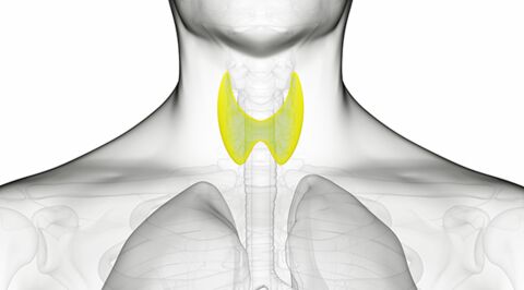 Thyroid Disorder: The Silent Disease | theTrumpet.com