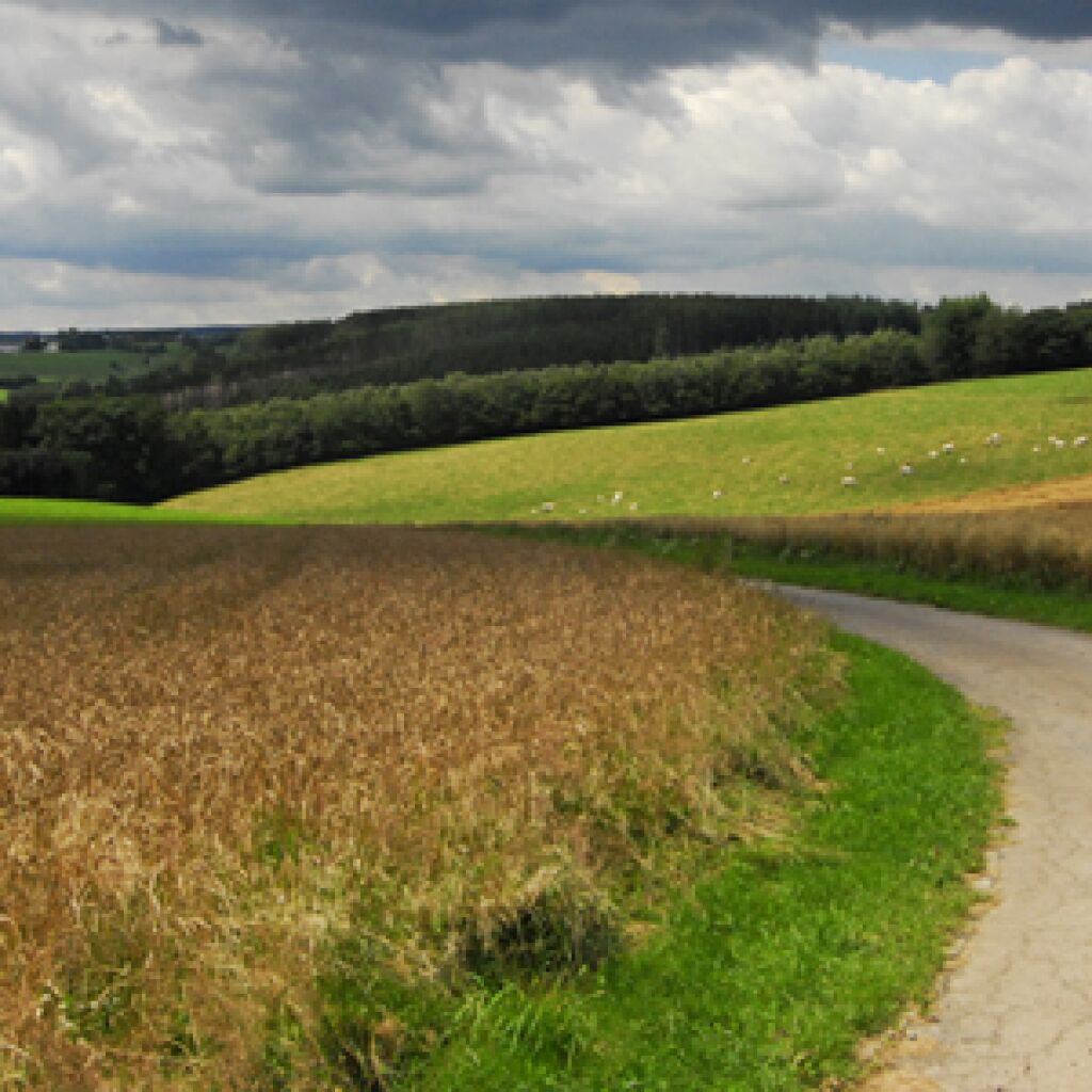 A Foretaste of Tomorrow | theTrumpet.com