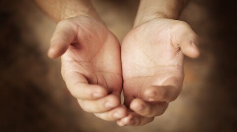 A Humble Request | theTrumpet.com