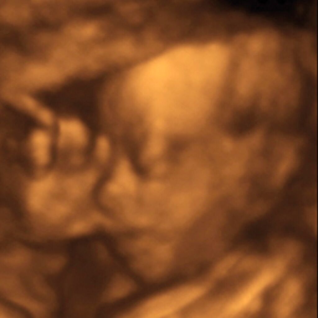 A New Level of Depravity | theTrumpet.com