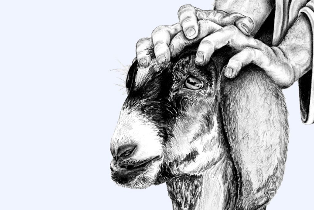 Who Is the Scapegoat? | theTrumpet.com