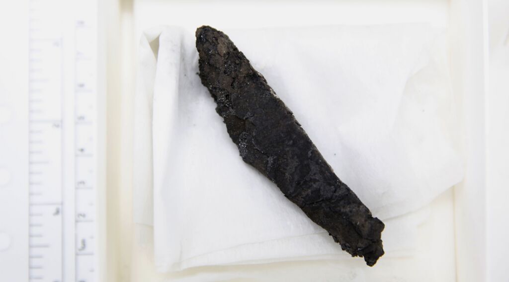 X-rays of 1,700-Year-Old Burned Scroll Are Identical to Modern Bible ...
