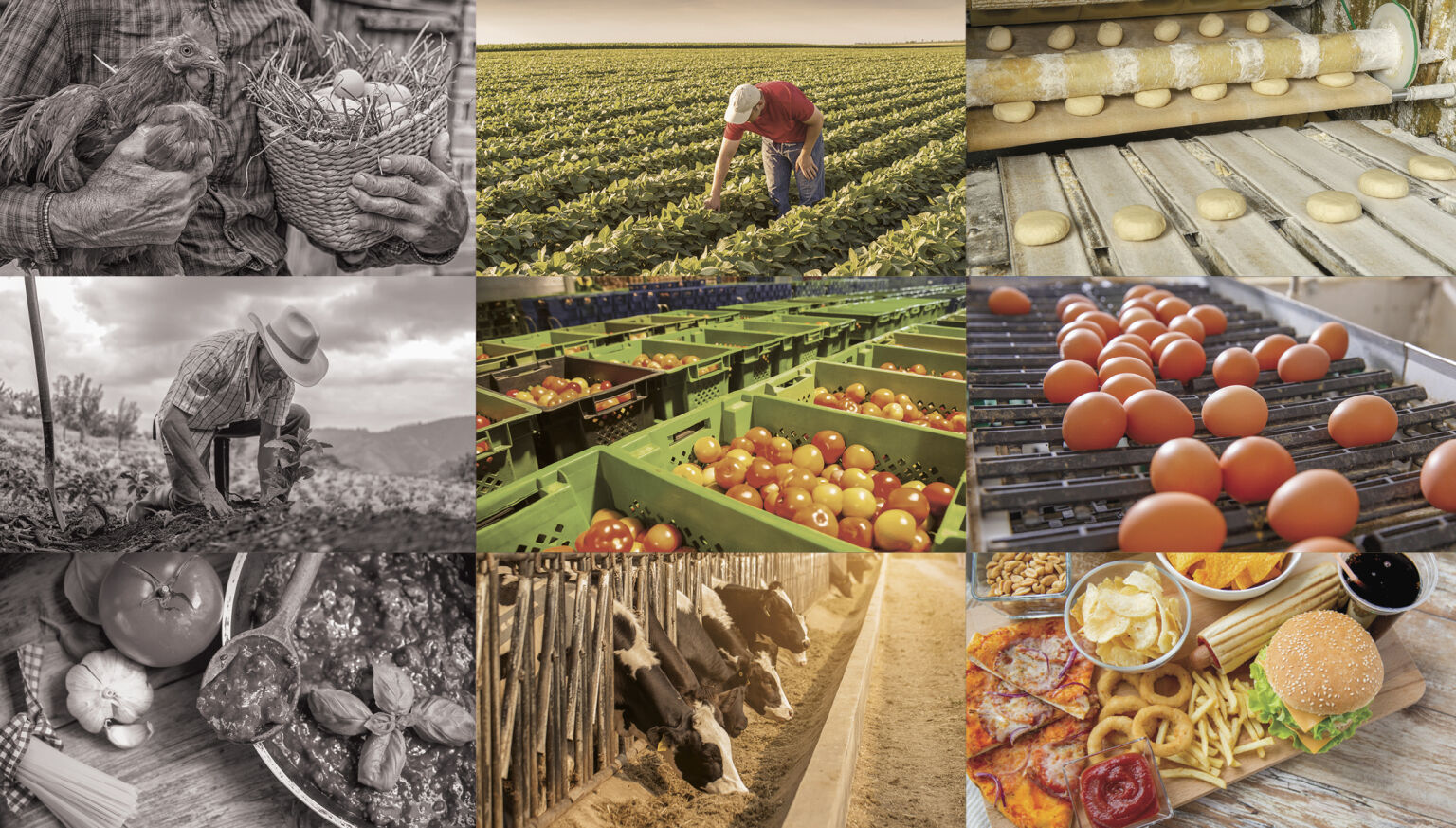 Dining Through the Decades: 70 Years of American Food | theTrumpet.com