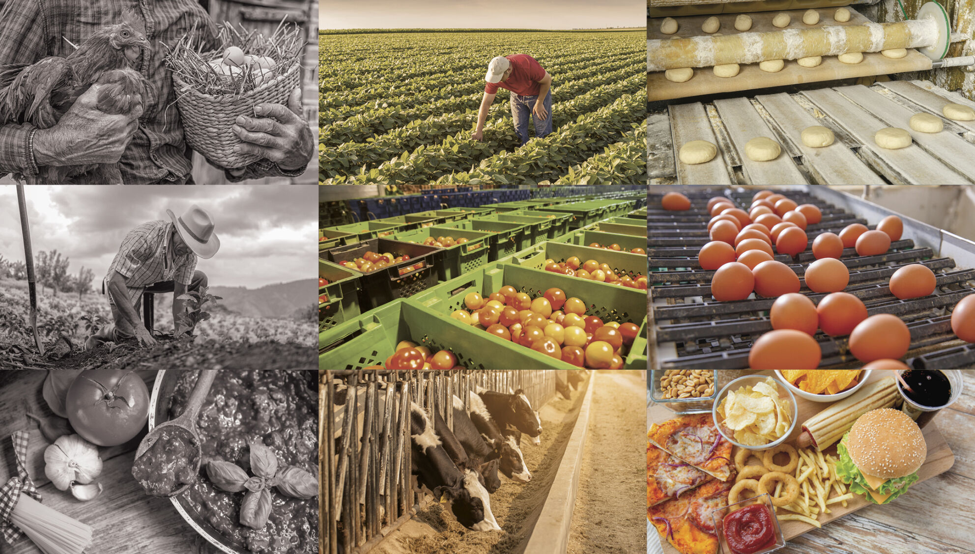 Dining Through the Decades: 70 Years of American Food | theTrumpet.com