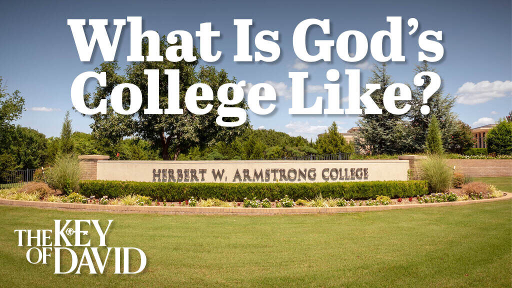 What Is God's College Like? | theTrumpet.com