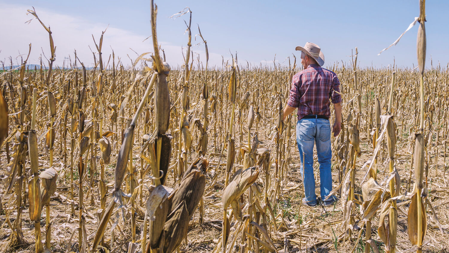 When the Harvest Fails | theTrumpet.com