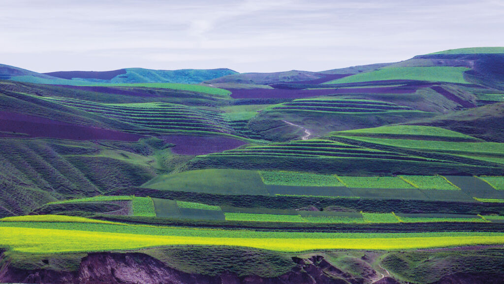 A Dead Ecosystem Can ‘Blossom as the Rose’ | theTrumpet.com