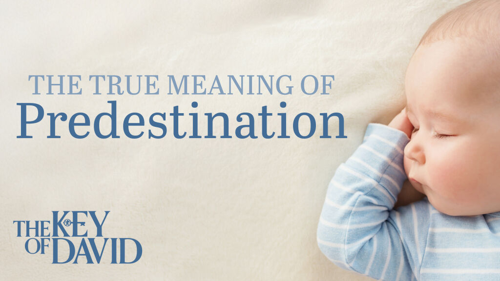 The True Meaning of Predestination | theTrumpet.com