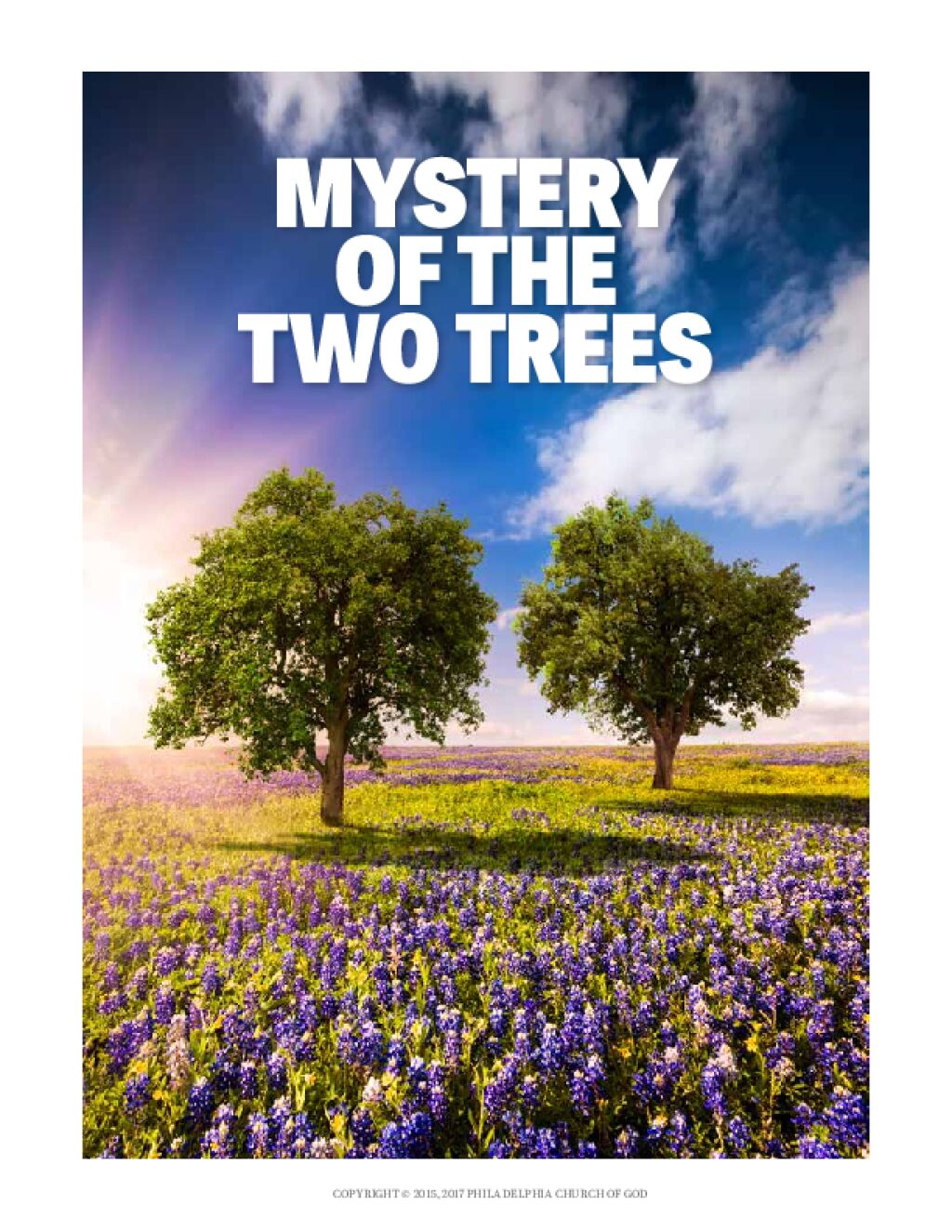 Mystery of the Two Trees | theTrumpet.com