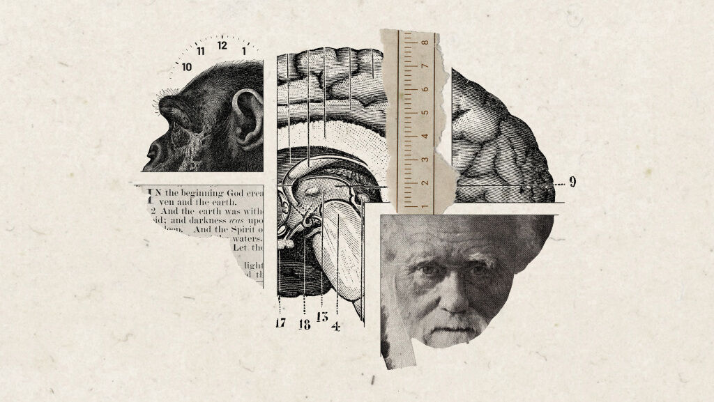 A True Christian Cannot Believe in Evolution | theTrumpet.com